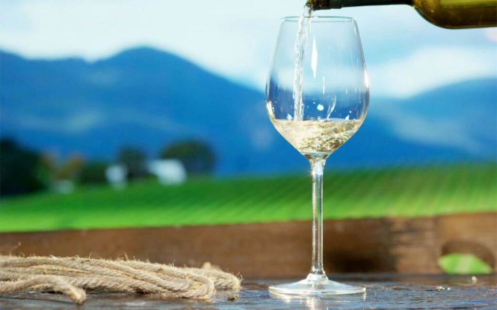 10 things you need to know about Trebbiano d'Abruzzo - Abruzzo Information